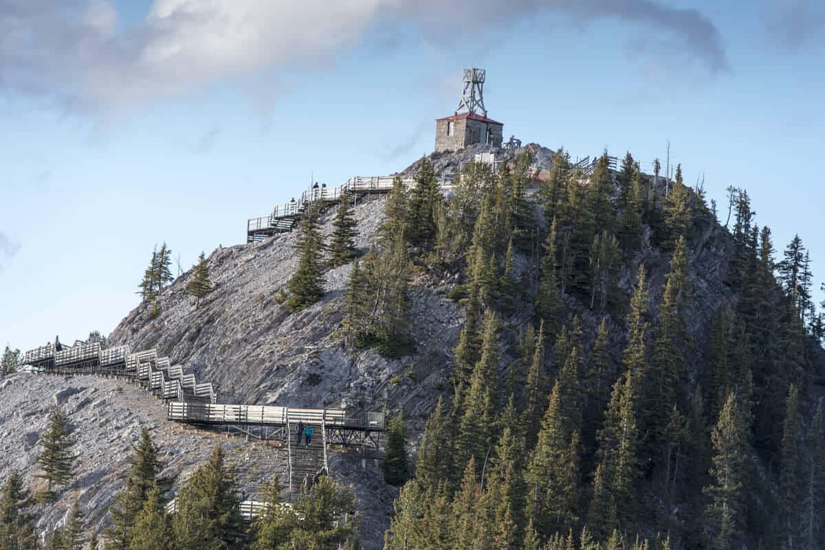 Adventure at Sulphur Mountain Summit: Activities Galore! – Park Pilgrim