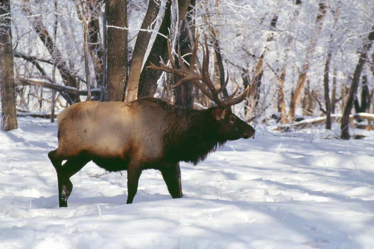 Visiting Banff in April: Winter Fun in Spring – Park Pilgrim